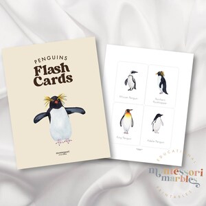 PENGUINS Montessori Flash Cards | Types of Penguins | Nature-based ...