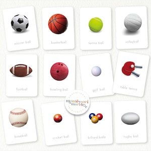 Ball Sports Flash Cards | Montessori Sports Nomenclature | Kids ...