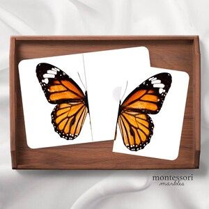 BUTTERFLY Symmetry Puzzles Montessori Inspired Visual Activity Spring ...