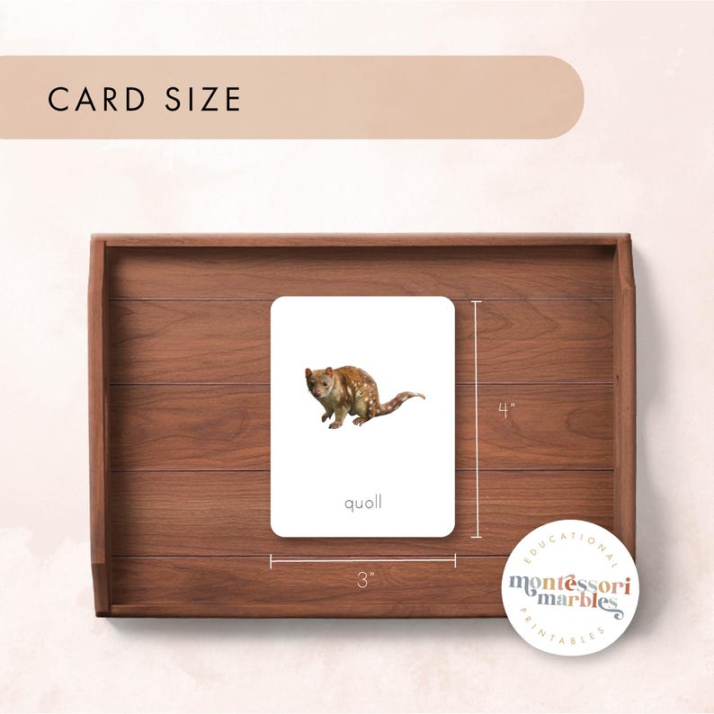 Australian Animals Nomenclature Cards | Montessori 3-part Cards ...