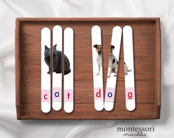 Montessori Pink Series Readers Bundle CVC Decodable Books - Etsy