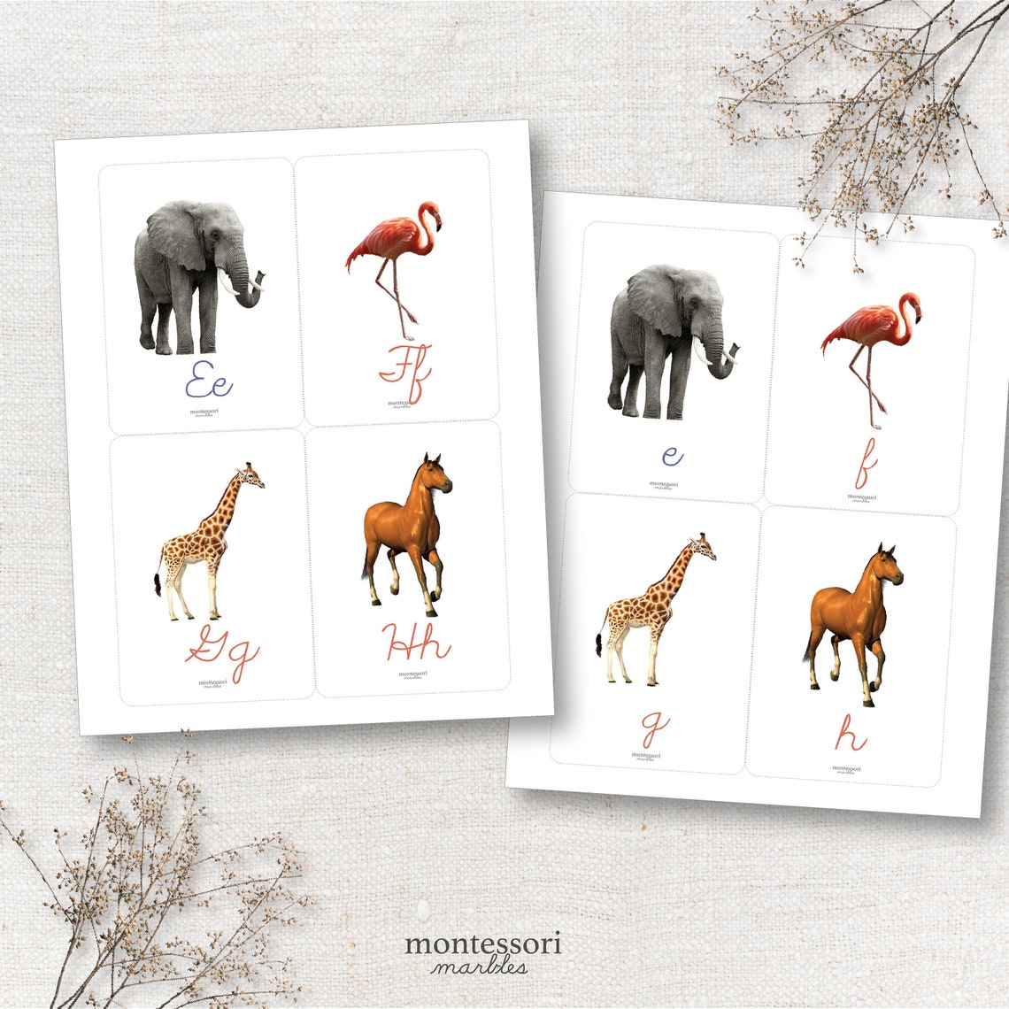 CURSIVE BEGINNING SOUNDS Flash Card Montessori Phonics - Etsy