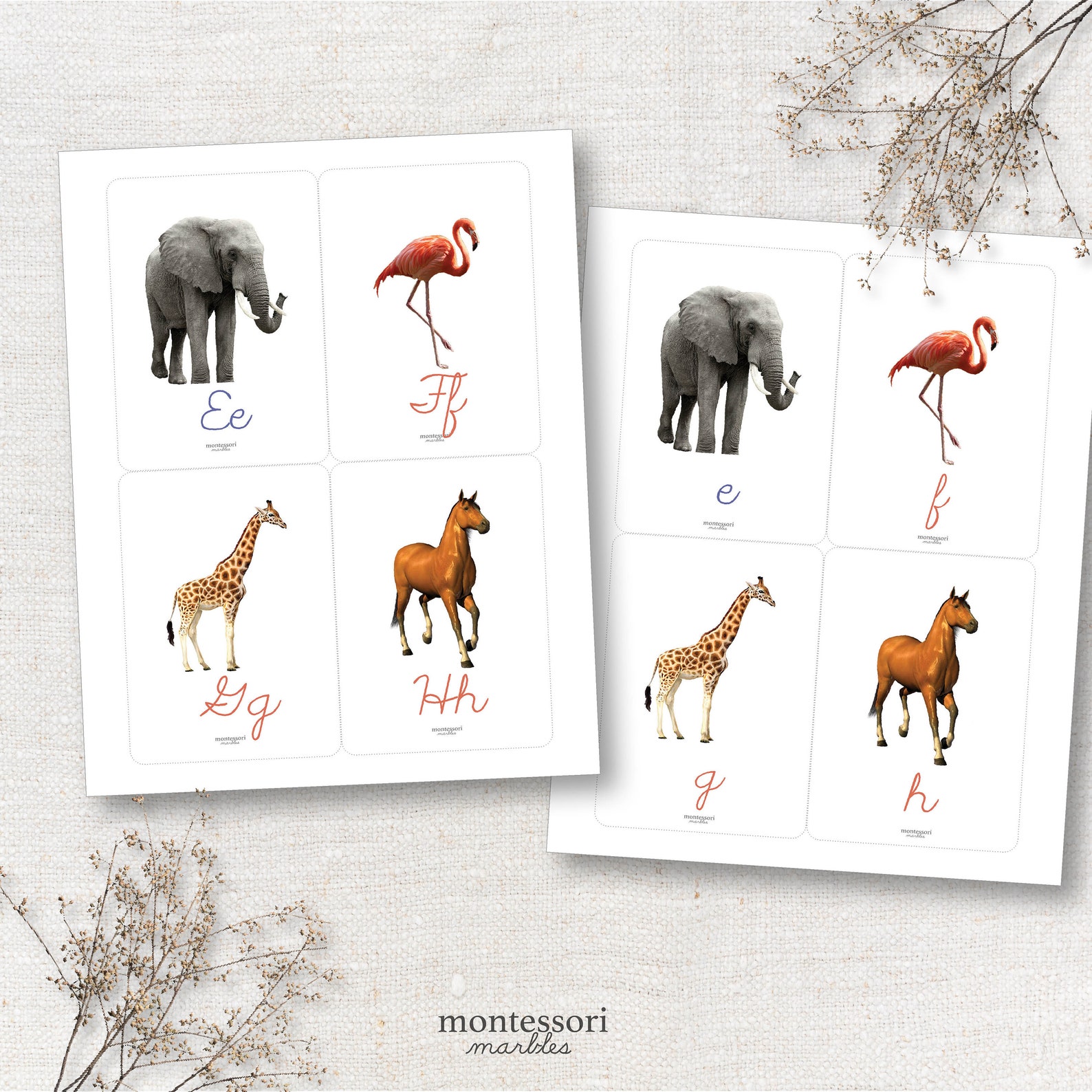 CURSIVE BEGINNING SOUNDS Flash Card Montessori Phonics - Etsy