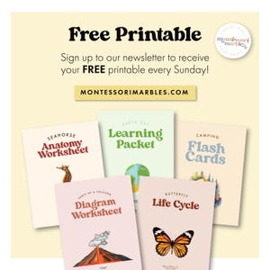 LEVEL 1 Multiplication Drills | Single Digit Multiplication | First ...