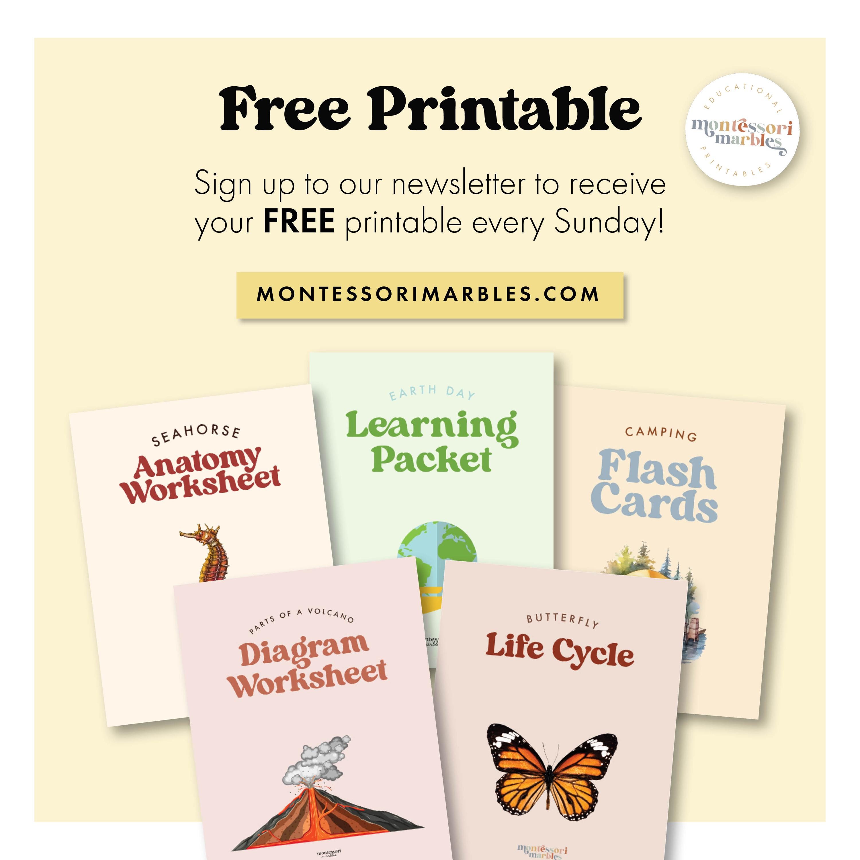 Math Multiplication Level 1 Workbook | Montessori Mathematics ...