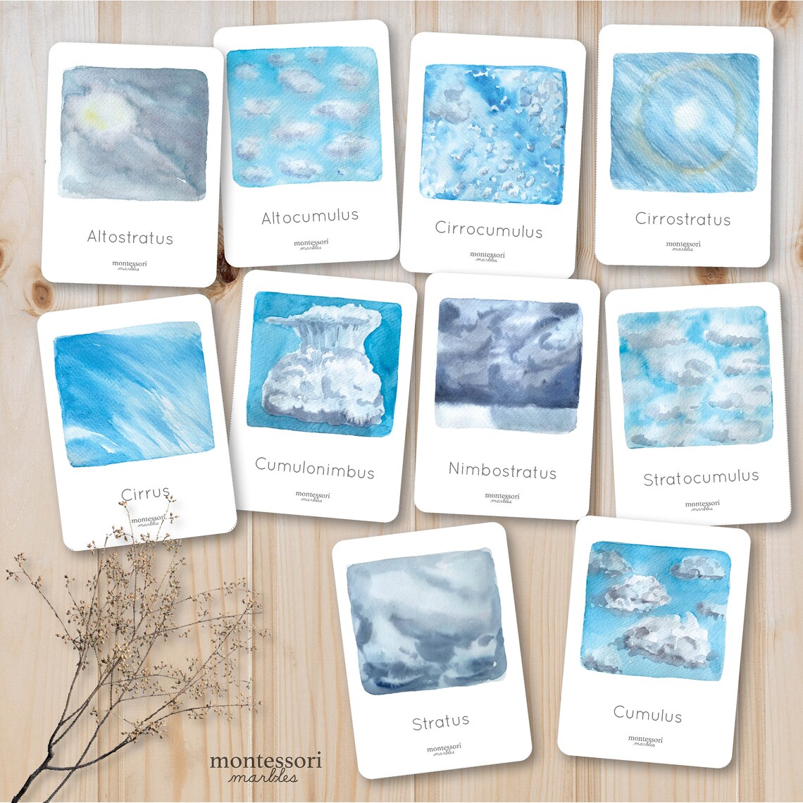CLOUD Flash Cards Types of Cloud Learn About Weather - Etsy