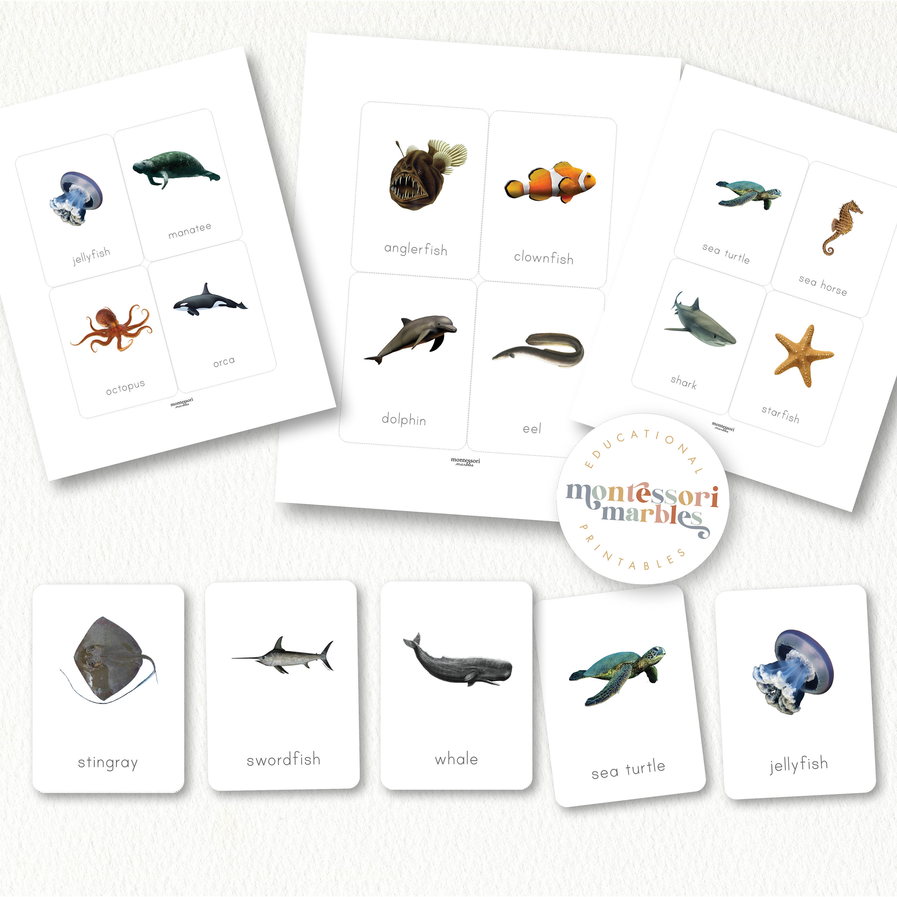 OCEAN ANIMALS Flash Cards | Montessori Inspired Resources With Real ...