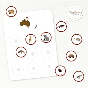 ANIMALS AND CONTINENTS Sorting Cards | Geography-based Animals Activity ...