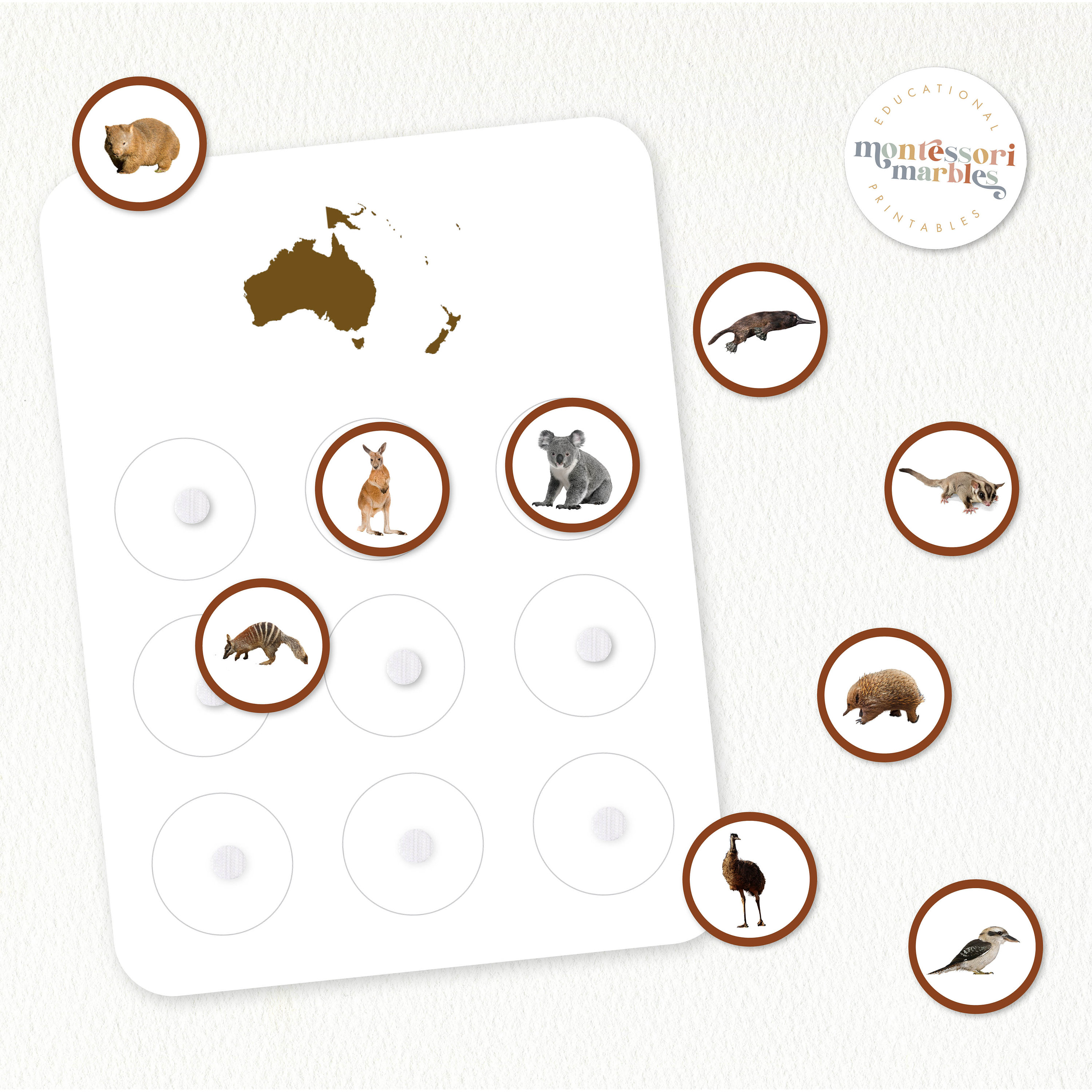 ANIMALS AND CONTINENTS Sorting Cards Geography-based Animals Activity ...