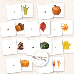FALL Magnifying Matching Game | Montessori at Home Using Magnifying ...