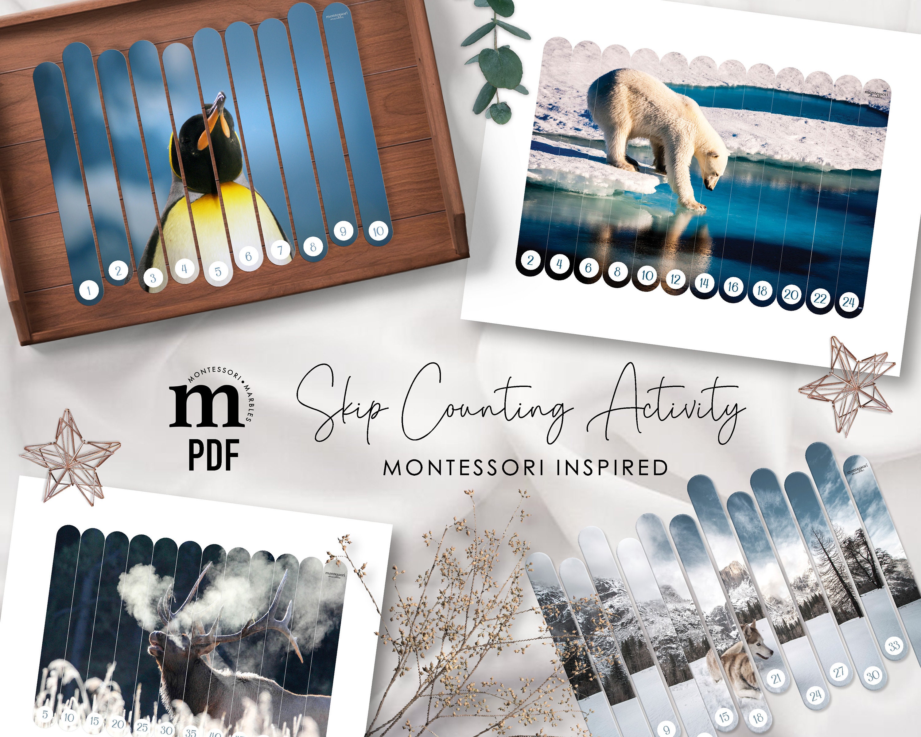 POLAR ANIMALS Skip Counting Craft Stick Puzzles Math Puzzles - Etsy