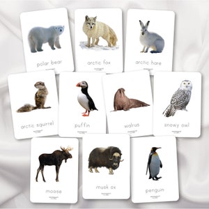POLAR ANIMALS Nomenclature Cards Arctic Animals Montessori 3-part Cards ...