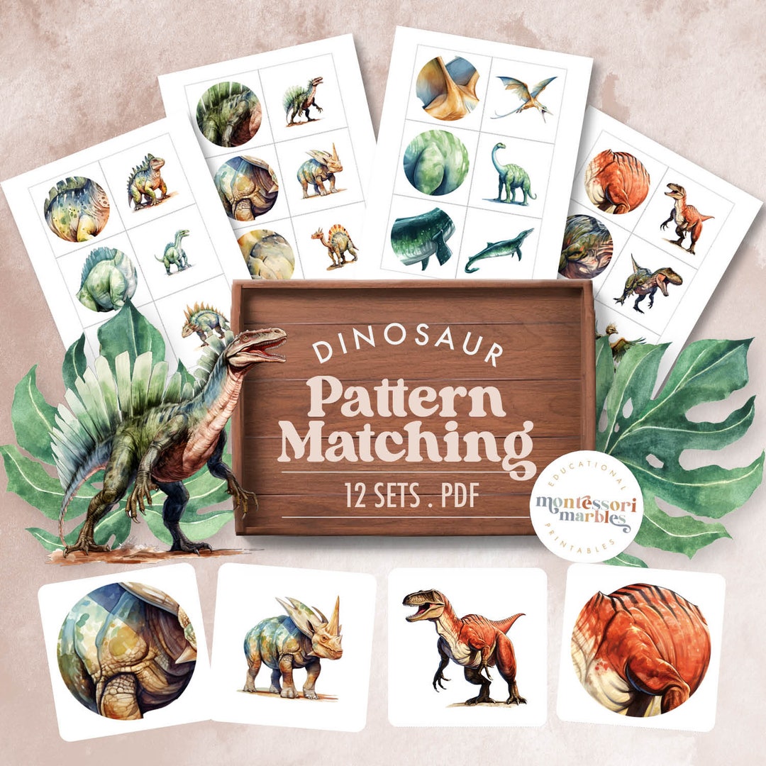 DINOSAUR Pattern Matching Puzzle Activity Montessori Inspired Visual ...