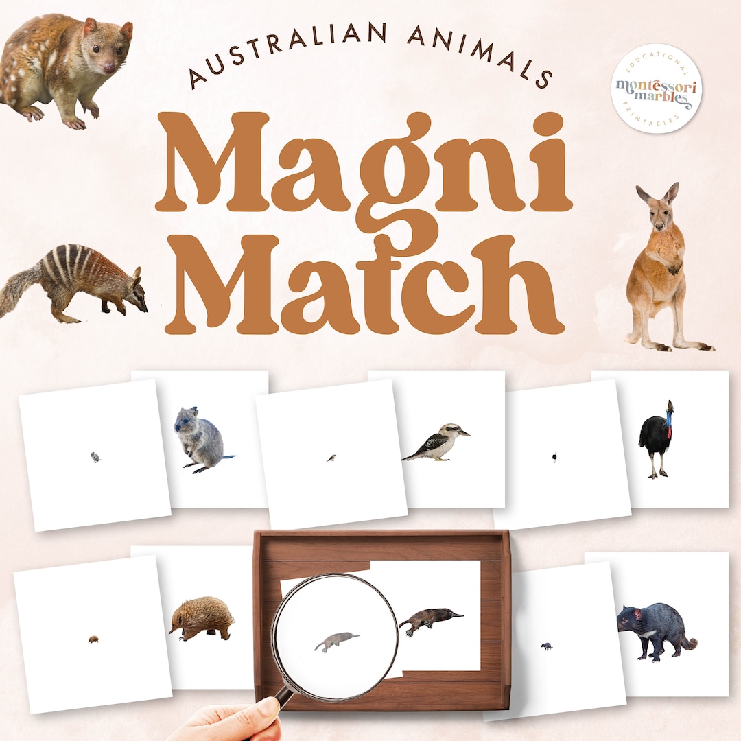 Australian Animals Magnifying Matching Game | Montessori Preschool ...