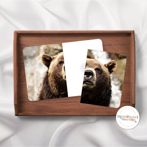 WOODLAND ANIMALS Montessori Picture Matching Activity, Toddlers ...