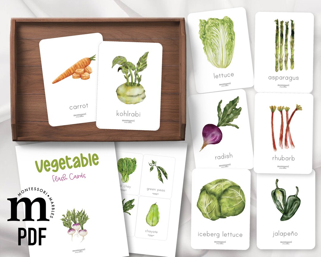 VEGETABLE Flash Cards Montessori Inspired Resources for - Etsy España