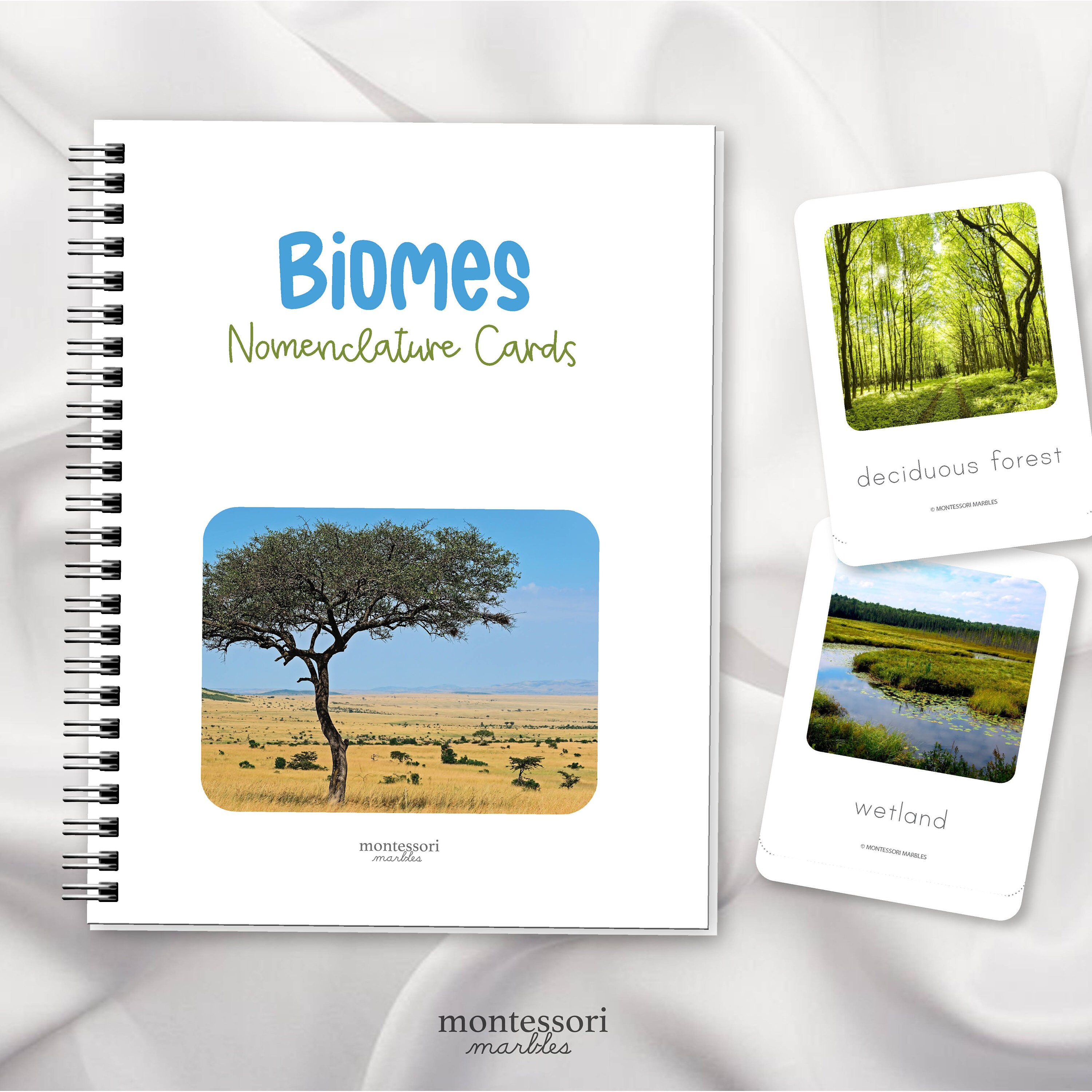 BIOMES Nomenclature Cards Montessori Inspired Cards Social Studies ...
