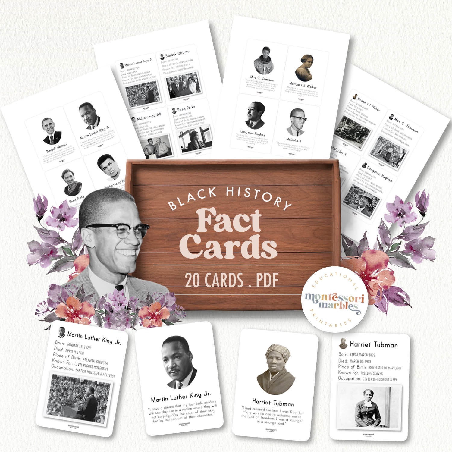 BLACK HISTORY MONTH Famous African Americans Fact Cards Printable Flash ...