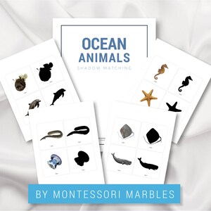 OCEAN ANIMALS Shadow Matching Montessori Inspired Silhouette Matching ...