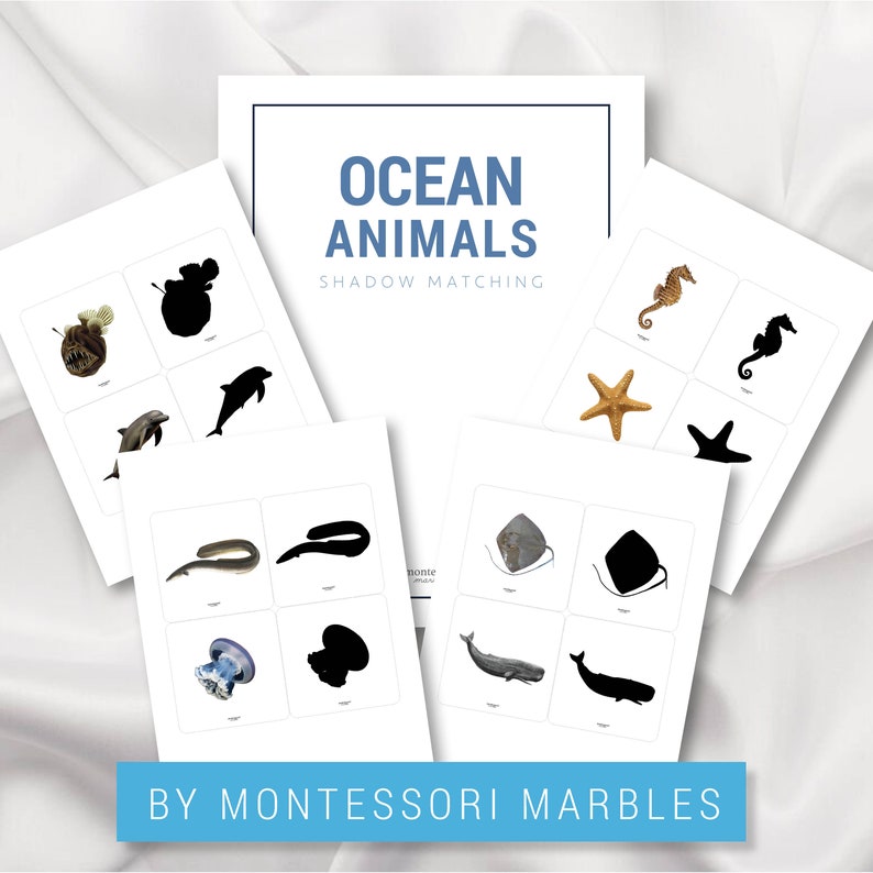 OCEAN ANIMALS Shadow Matching Montessori Inspired Silhouette - Etsy