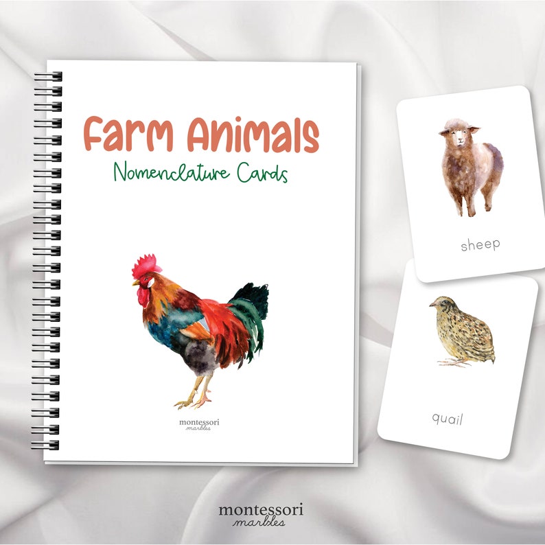 FARM ANIMALS Montessori Nomenclature Cards Montessori - Etsy