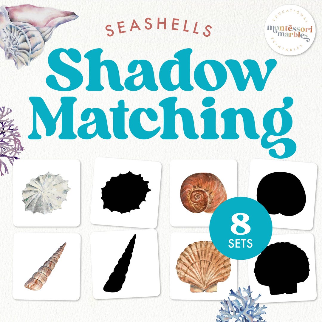 SEASHELLS Shadow Matching | Silhouette Matching | Montessori Inspired ...