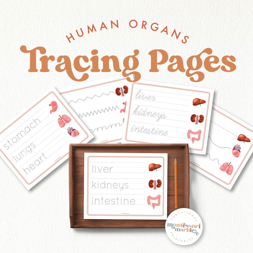 HUMAN ORGANS Handwriting Practice, Tracing and Spelling Worksheet ...