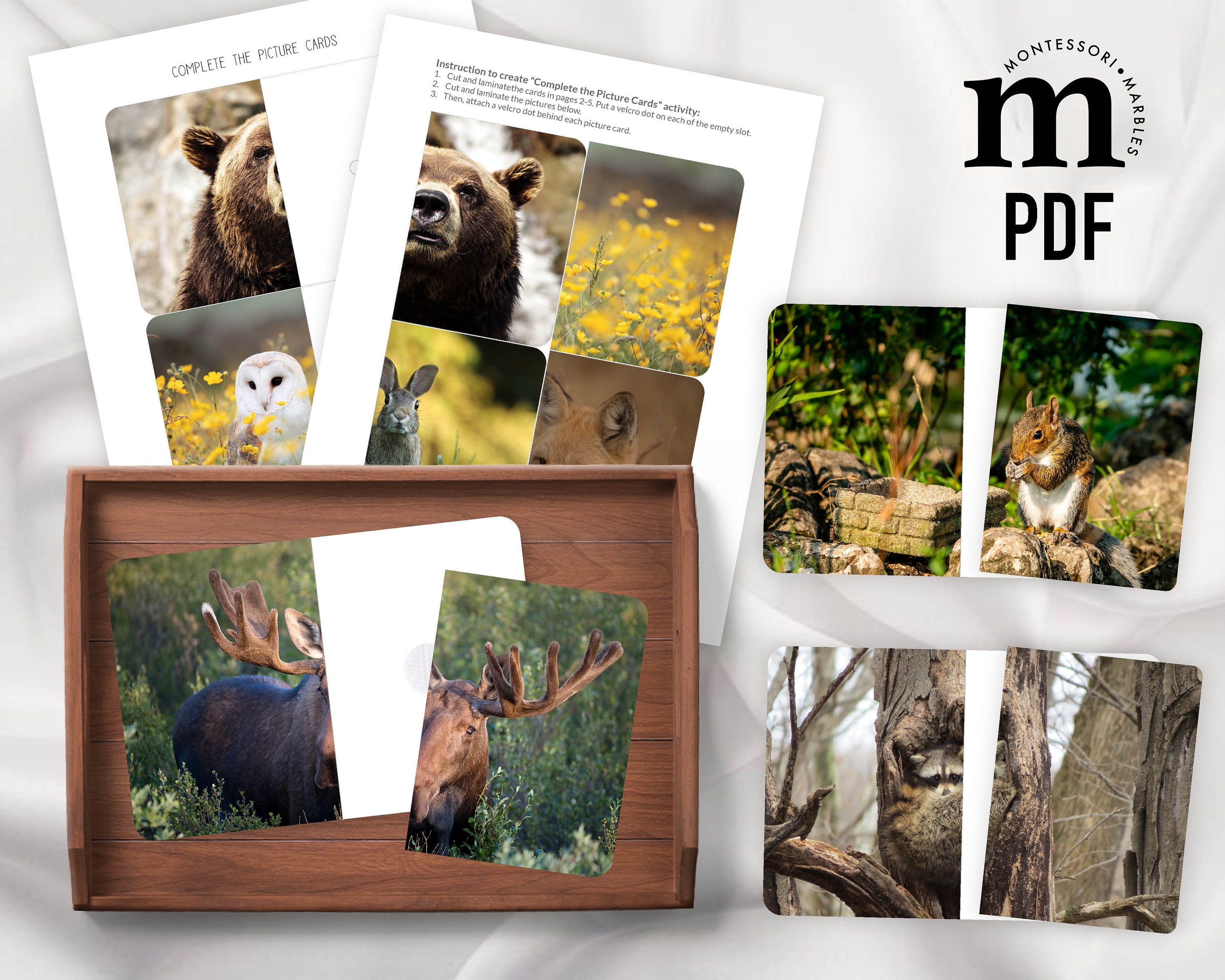 WOODLAND ANIMALS Montessori Picture Matching Activity - Etsy