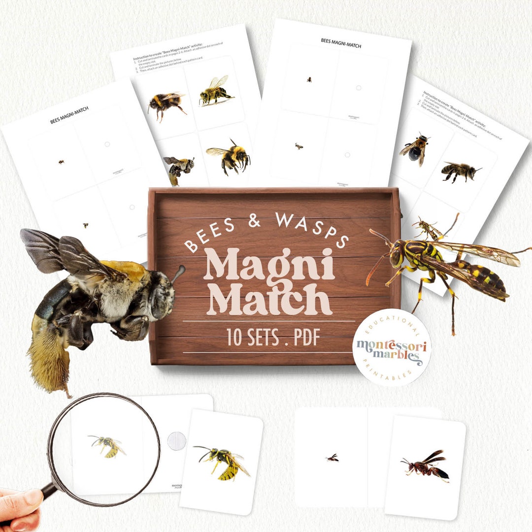 BEES Magni-match | Animals Matching Game | Montessori at Home | Insects ...