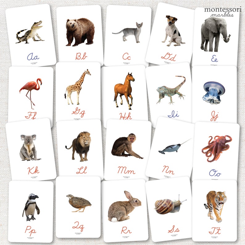 CURSIVE BEGINNING SOUNDS Flash Card Montessori Phonics - Etsy