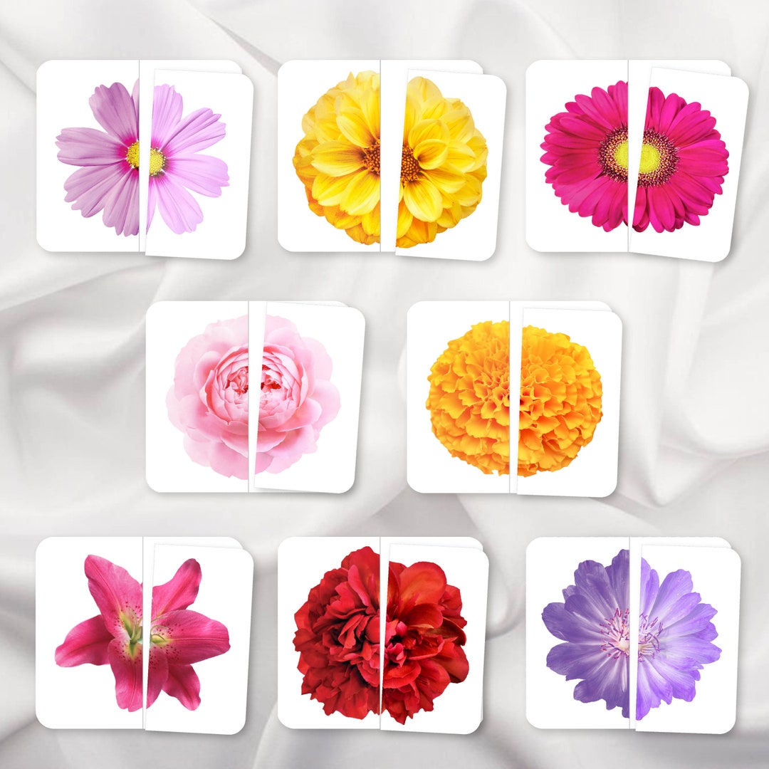 FLOWERS Symmetry Matching Puzzle Montessori Inspired Visual - Etsy
