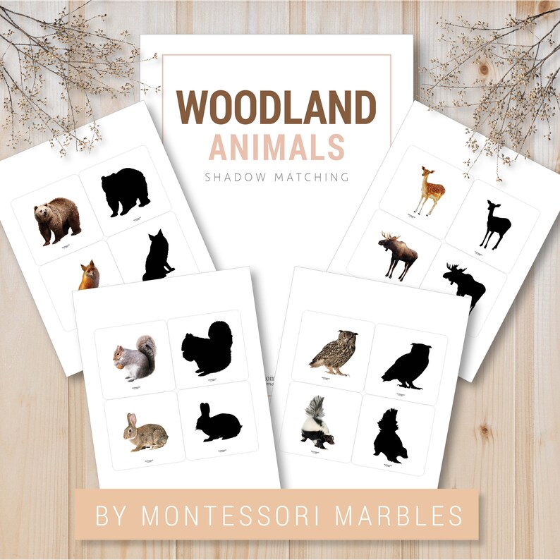 WOODLAND ANIMALS Shadow Matching Montessori Inspired - Etsy