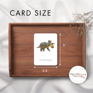 DINOSAUR Montessori Nomenclature Cards, Prehistoric Creatures Cards ...