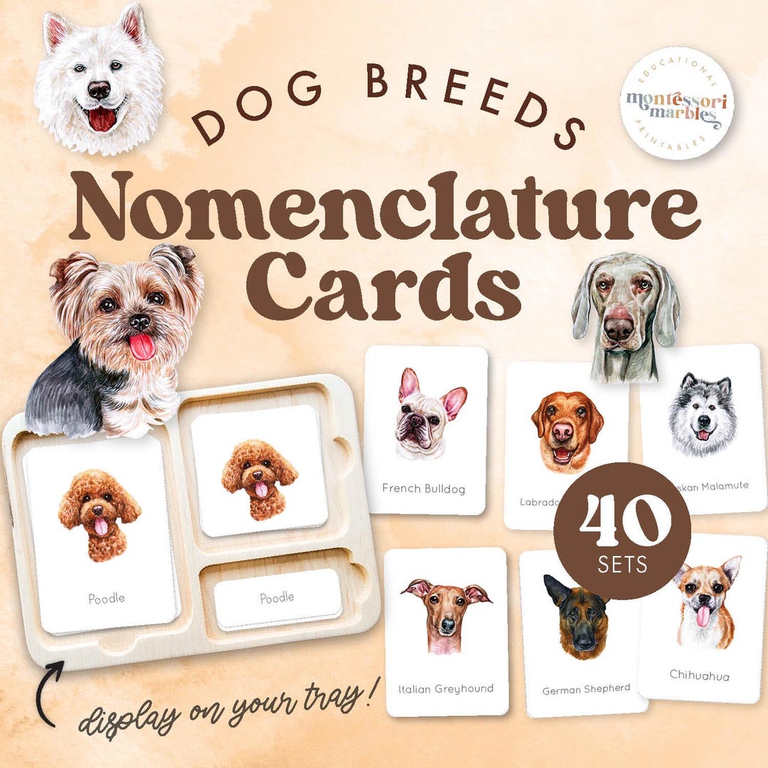 Dog Breeds Nomenclature Cards: Montessori Flashcards (digital Download ...
