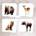 WOODLAND ANIMALS Two-piece Puzzles | Montessori Inspired Printable ...