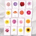 SPRING FLOWERS Flash Cards Montessori Inspired Printable - Etsy
