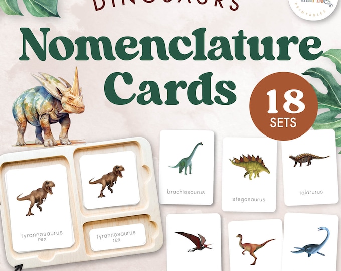 Dinosaur Montessori 3-part Cards / Digital Download / Social Studies ...