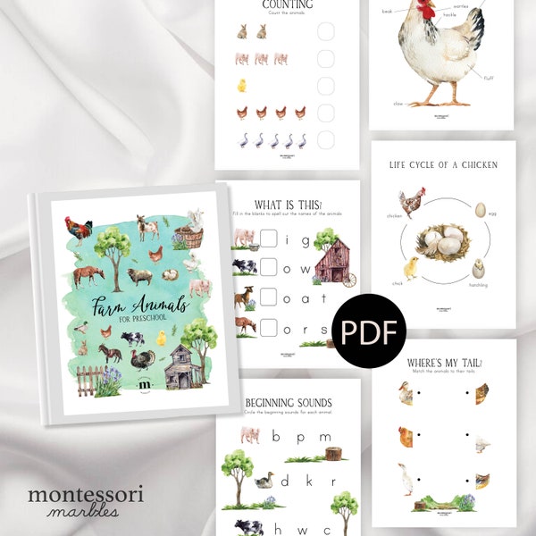 Chicken Life Cycle Activity Bundle - Etsy