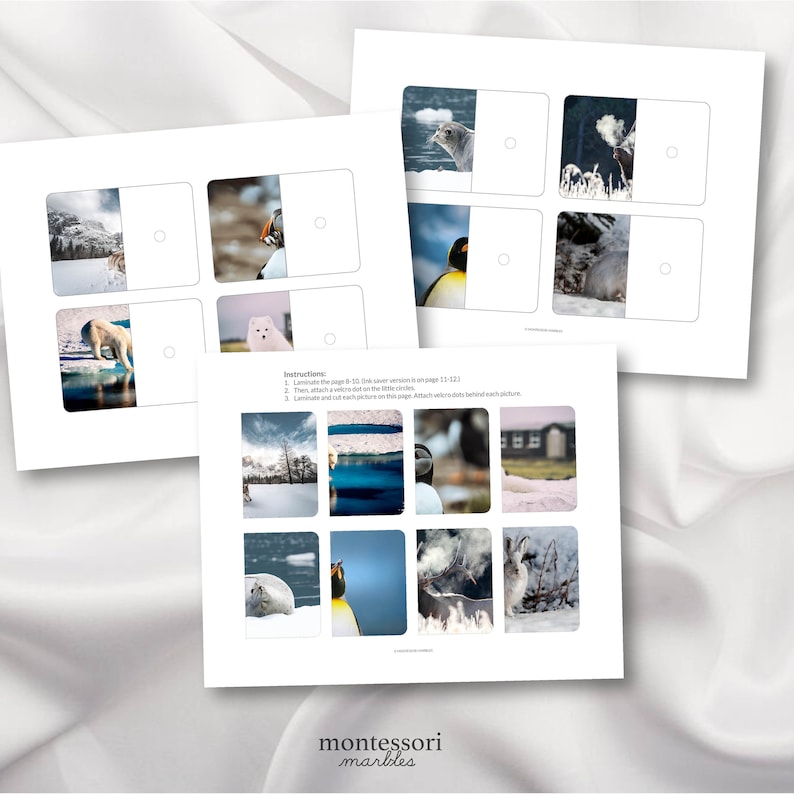 POLAR ANIMALS Montessori Picture Matching Activity Toddlers - Etsy