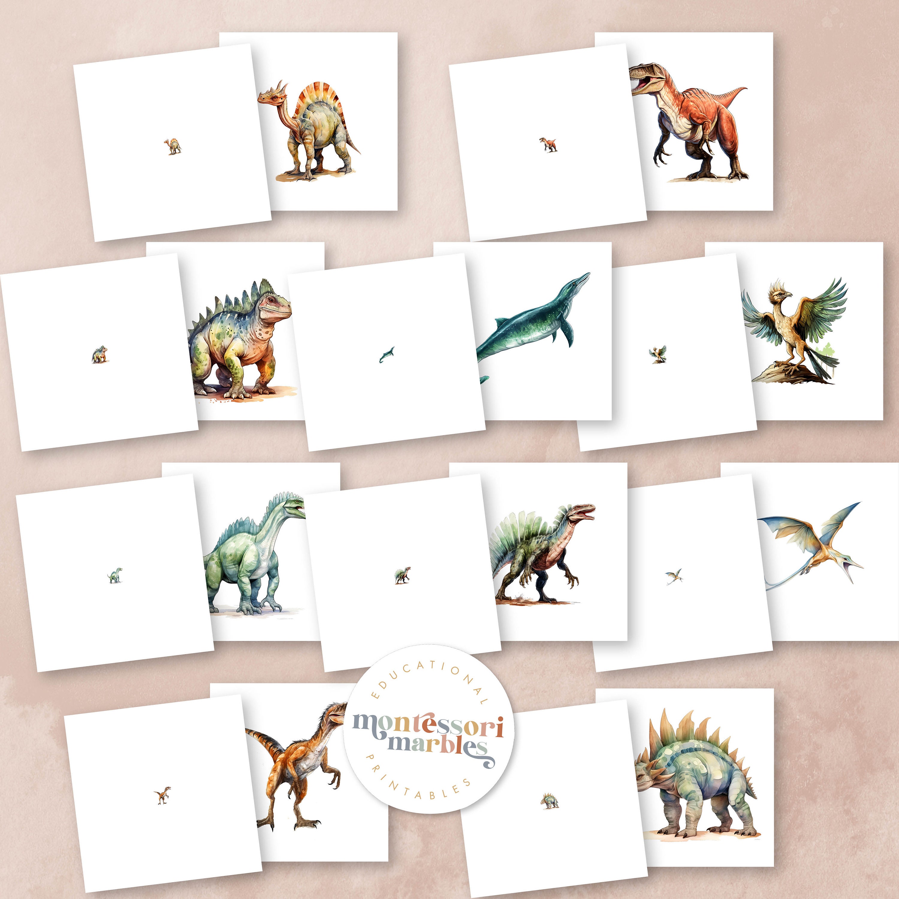 Dinosaurs Magnifying Matching Game | Montessori Visual Skills ...