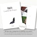 BATS Complete the Pictures Activity | Montessori Inspired Printable for ...