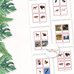 ANIMALS OF EUROPE Montessori Nomenclature Cards | Nature-based Learning ...