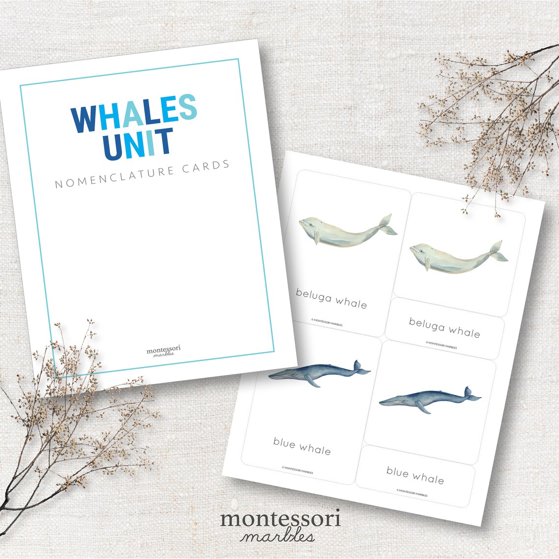 WHALES Montessori Nomenclature Cards Types of Whales - Etsy