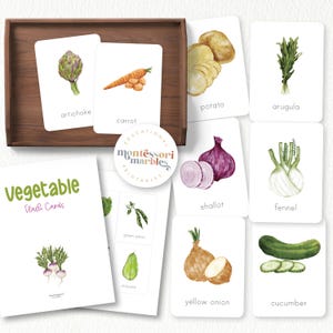 VEGETABLE Flash Cards | Montessori Inspired Resources for Preschool ...