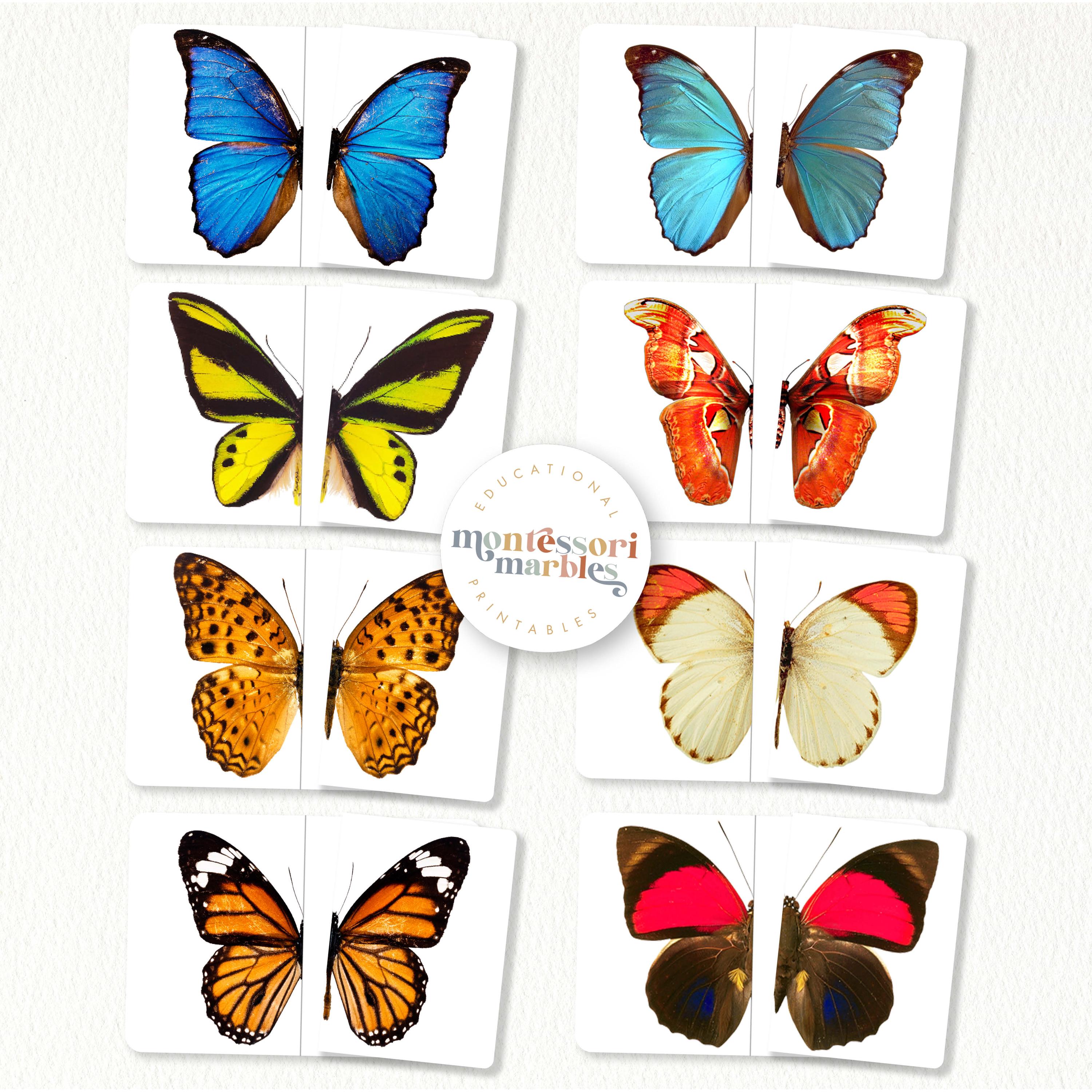 Butterfly Symmetry Puzzles | Montessori Visual Discrimination | Spring ...