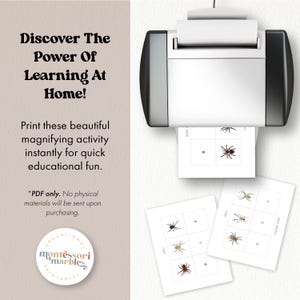 SPIDERS Magnifying Matching Game | Montessori at Home Using Magnifying ...