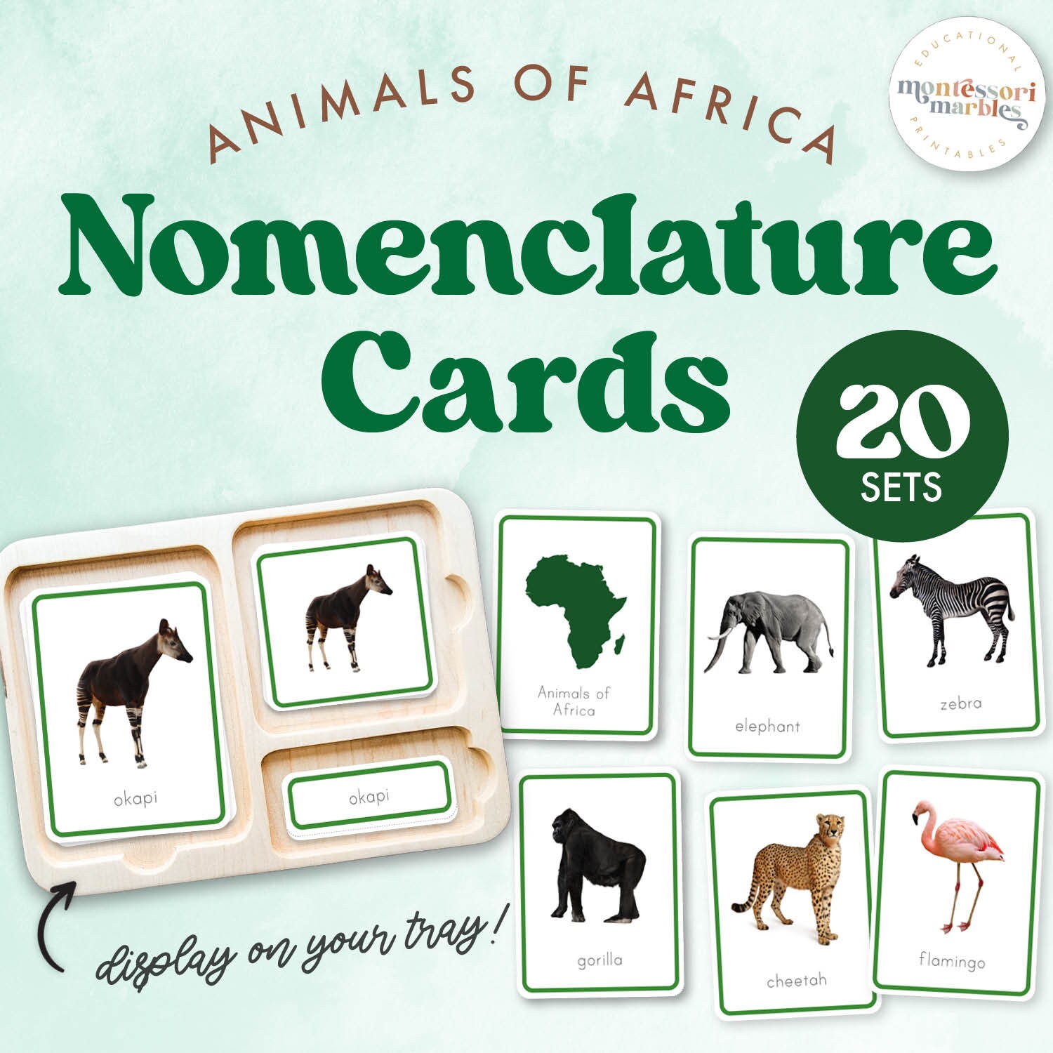 ANIMALS OF AFRICA Montessori Nomenclature Cards Nature-based Learning ...