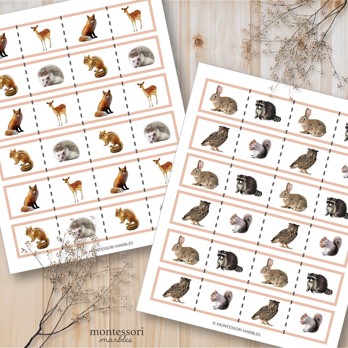 WOODLAND ANIMALS Cutting Strips Montessori Inspired Real - Etsy