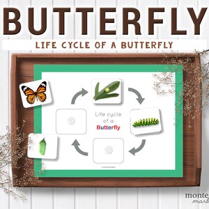 Life Cycle of a Butterfly Montessori Nomenclature Cards | Etsy UK