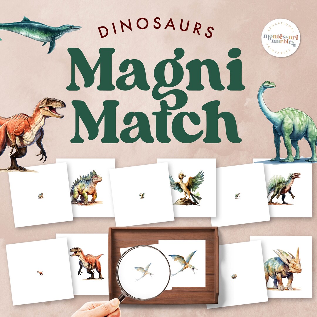 DINOSAURS Magnifying Matching Game | Montessori at Home Using ...
